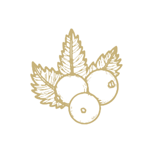 Home - The Dockyard Company